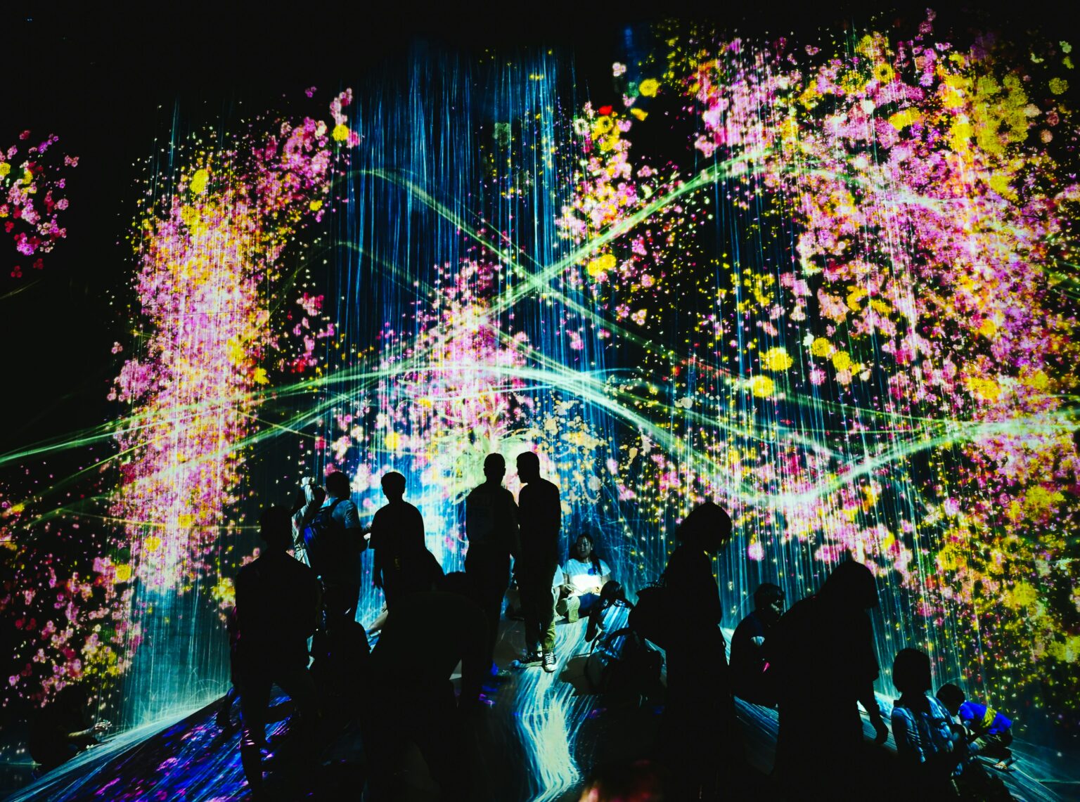 Die 2 TeamLabs von Tokyo - JapanTravel